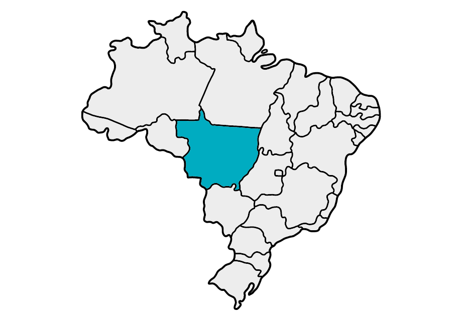Viação Juína: Passagens de Ônibus em até 12x